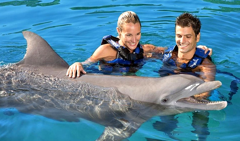 Acuario Interactivo - Nada con Delfines
