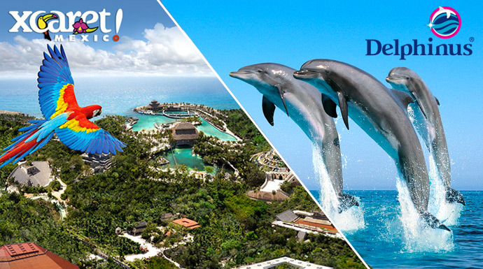 Xcaret and Dolphin Swimming | Go Visit Cancun