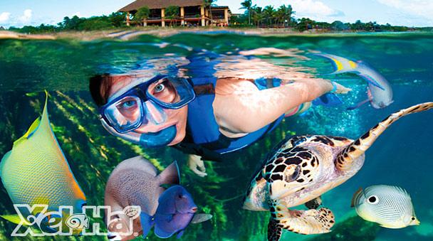 Xel-Ha Park including Swim with Dolphin