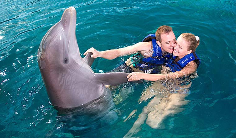 Xplor Dolphinclusive Supreme Tour